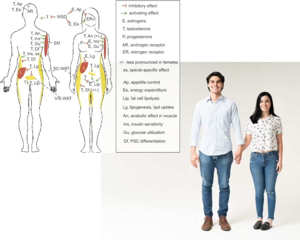 Benefits of Testosterone Replacement Therapy: What to Expect?